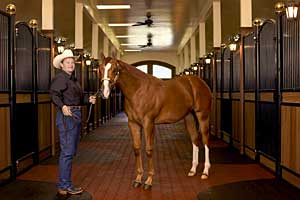 Bella Cavalli Farms - Horse Ranch in the Santa Ynez Valley, Santa ...